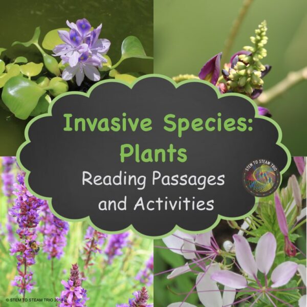 Invasive Plants - Science and STEAM Team