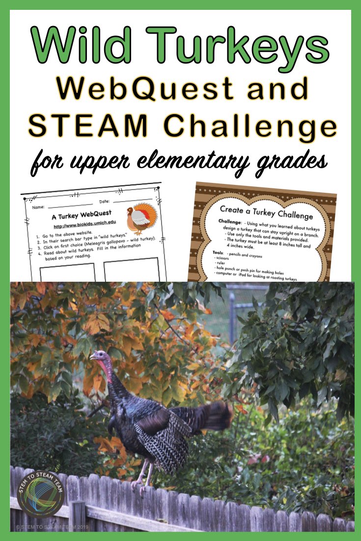 Terrific Thanksgiving STEM Activities for Elementary Grades! - Science ...