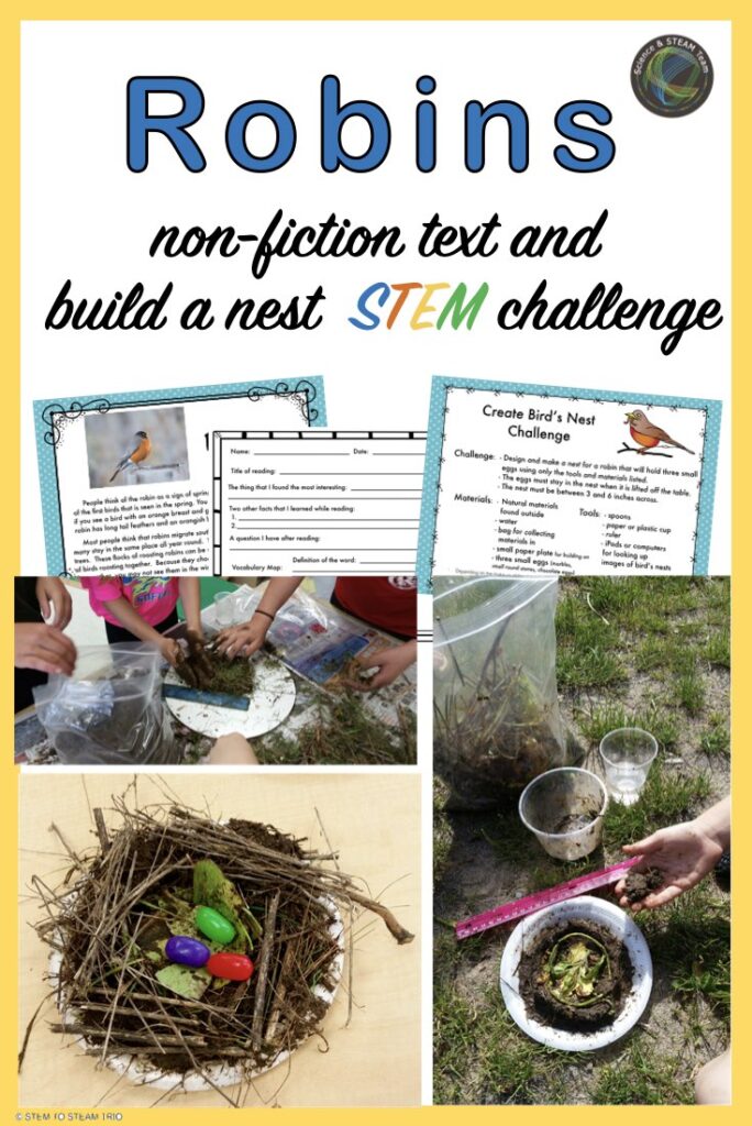 Building a Nest: An Easy, Engaging, and Messy STEM Challenge! - Science ...
