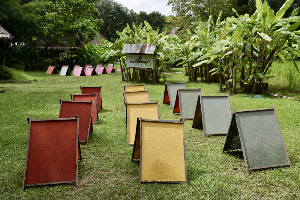 Visit the Popular Elephant PooPooPaper Park to Learn How Paper is Made ...