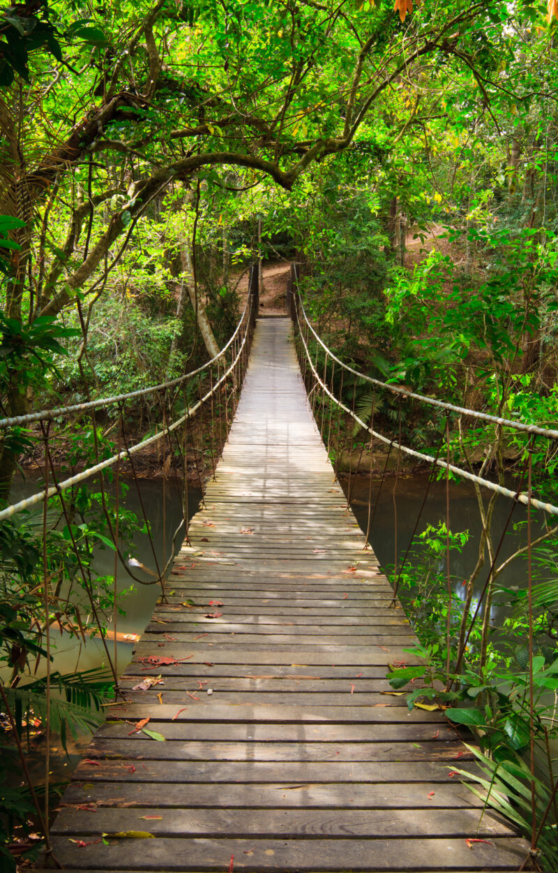 Seven Different Types of Bridges and Why We Build Them - Science and ...